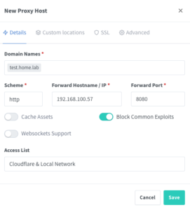 Homelab Networking (Cloudflare, NGINX, & Split DNS) - Carter Roeser